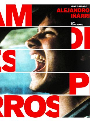Amores Perros’ regresa a cines! MUBI reestrenará la versión restaurada en todo el mundo por su ...
