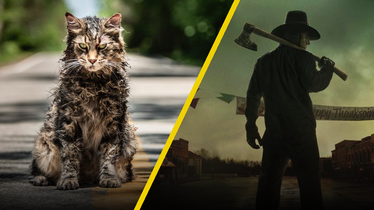 Conoce a Tonic, el gato que se convirtió en la estrella de terror de ...