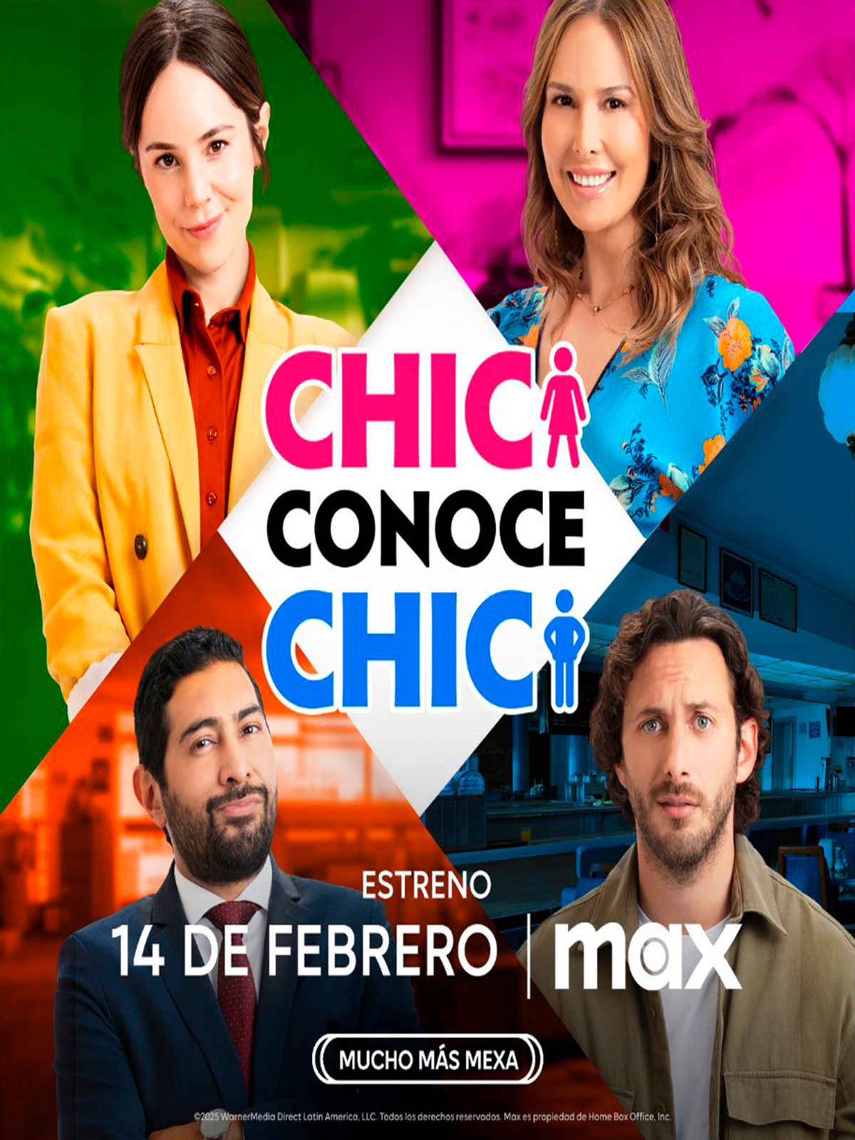 Cartel de la película Chica Conoce Chico - Foto 1 por un total de 11 - SensaCine.com.mx