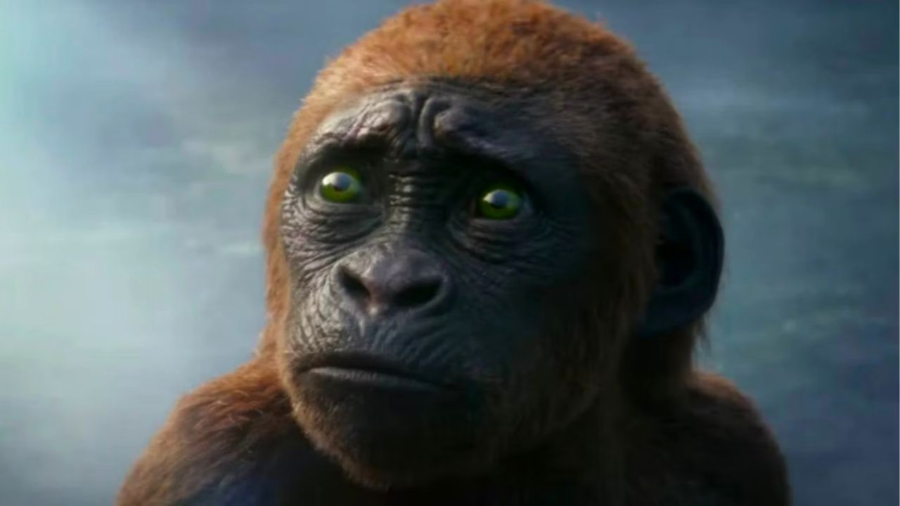 ‘Godzilla y Kong: El nuevo imperio’: Conoce a Suko, el bebé Kong de la ...