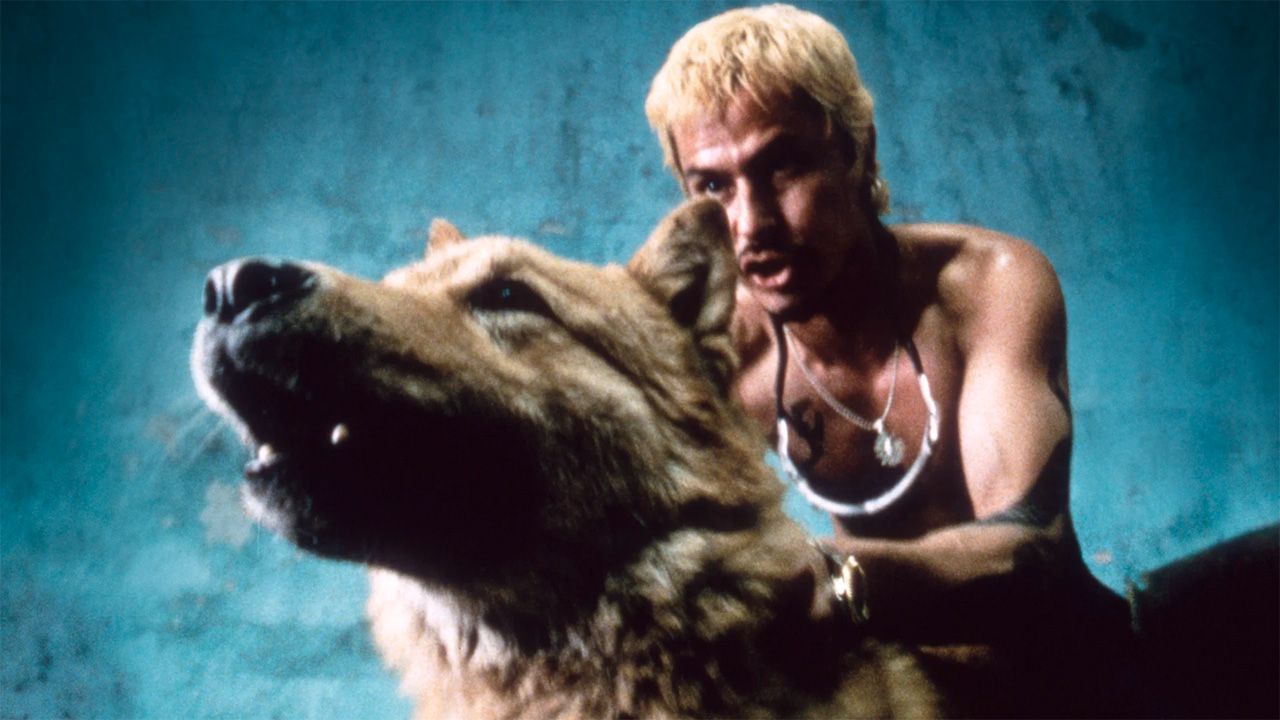 Amores Perros’ regresa a cines! MUBI reestrenará la versión restaurada en todo el mundo por su ...