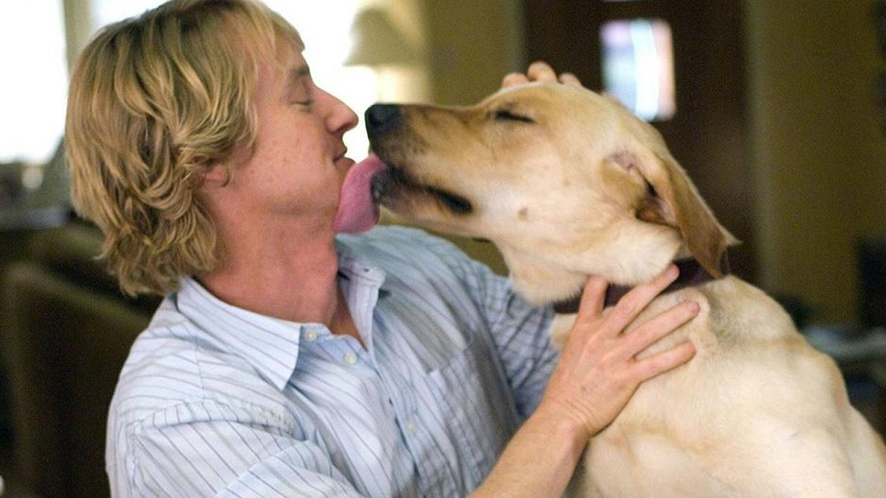 Esta página te avisa si muere un perrito en una película: ¡te vas a ...