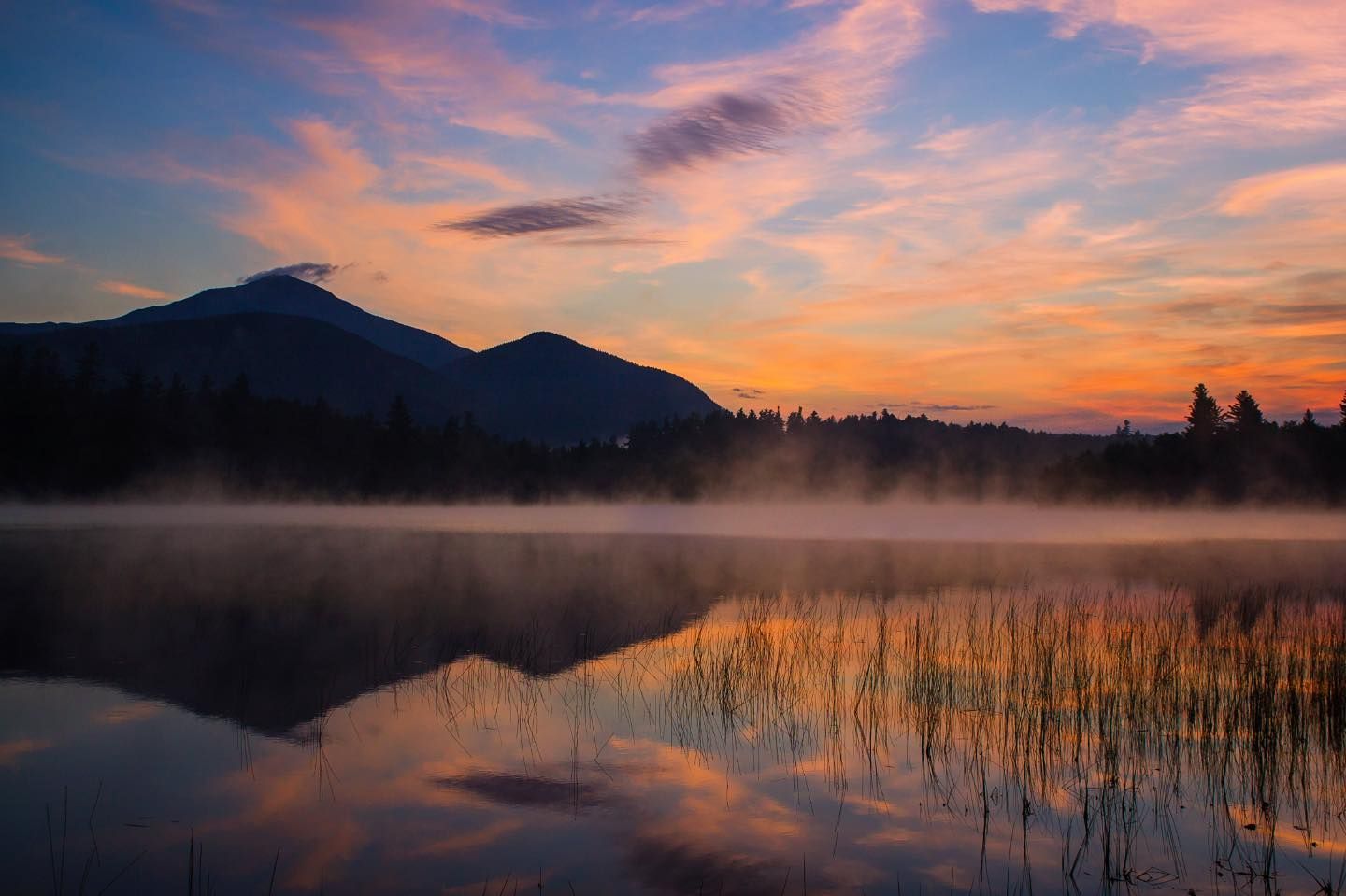 Foto de la película The 46ers - Foto 4 por un total de 7 - SensaCine.com.mx