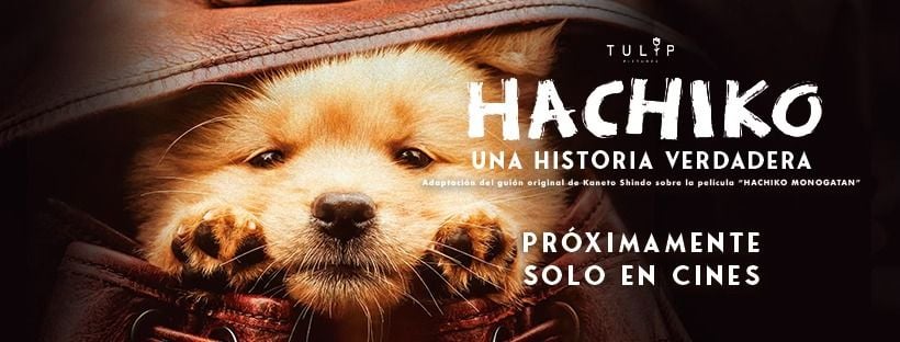 Trailer de la película Hachiko: Una historia verdadera - 'Hachiko: Una ...