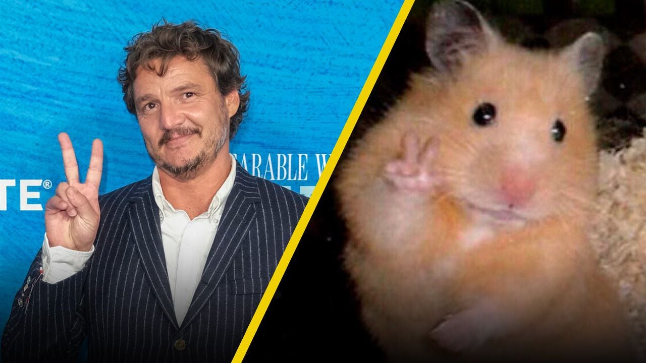 10 imágenes comprueban que Pedro Pascal se comporta como hámster ...