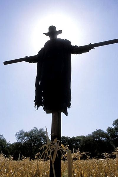 Foto de la película El demonio 2 - Foto 2 por un total de 26 ...