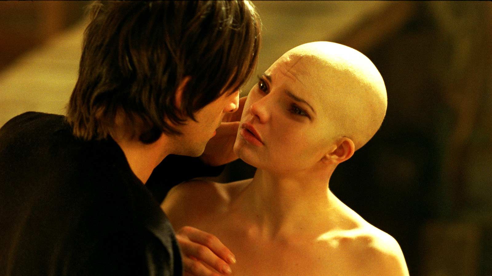 Foto de la película Splice: experimento mortal - Foto 21 por un total ...