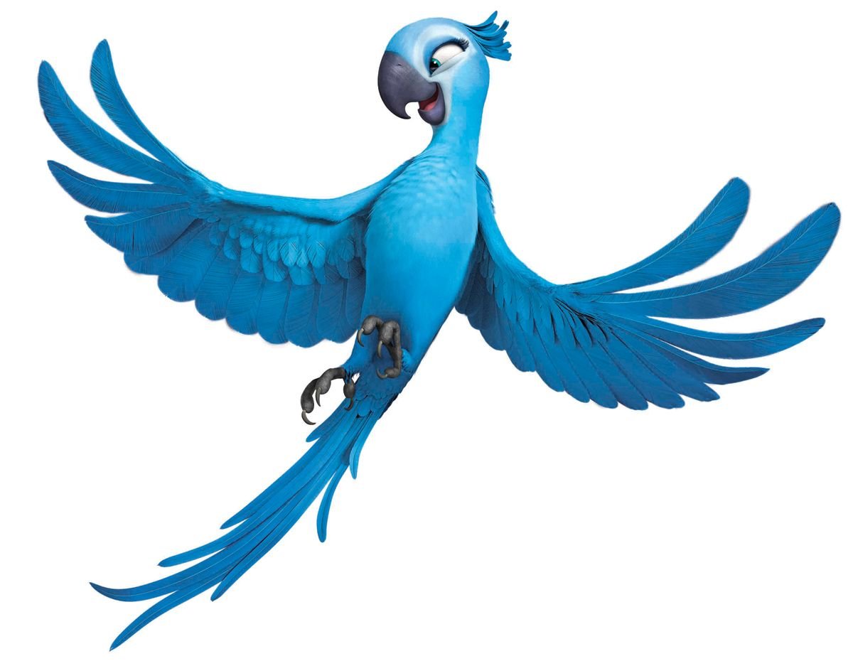 Foto de la película Rio - Foto 38 por un total de 62 - SensaCine.com.mx