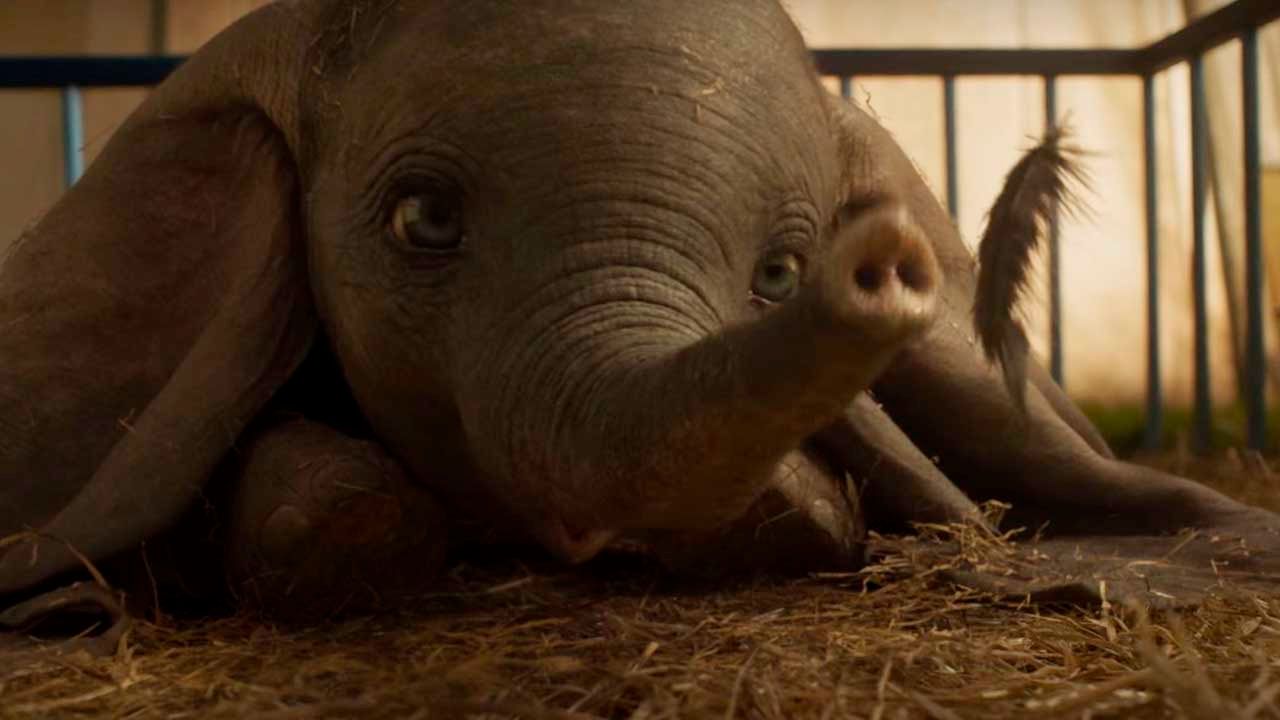 'Dumbo': El nuevo tráiler del elefante de las grandes orejas - Noticias ...