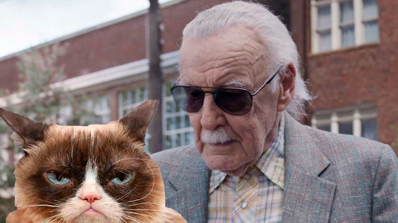 El día que Stan Lee conoció a Grumpy Cat - Noticias de cine - SensaCine ...