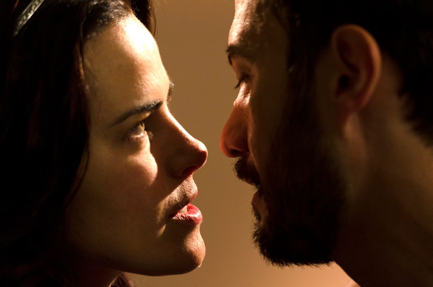 Foto de la película The Moving Forest - Foto 4 por un total de 11 ...