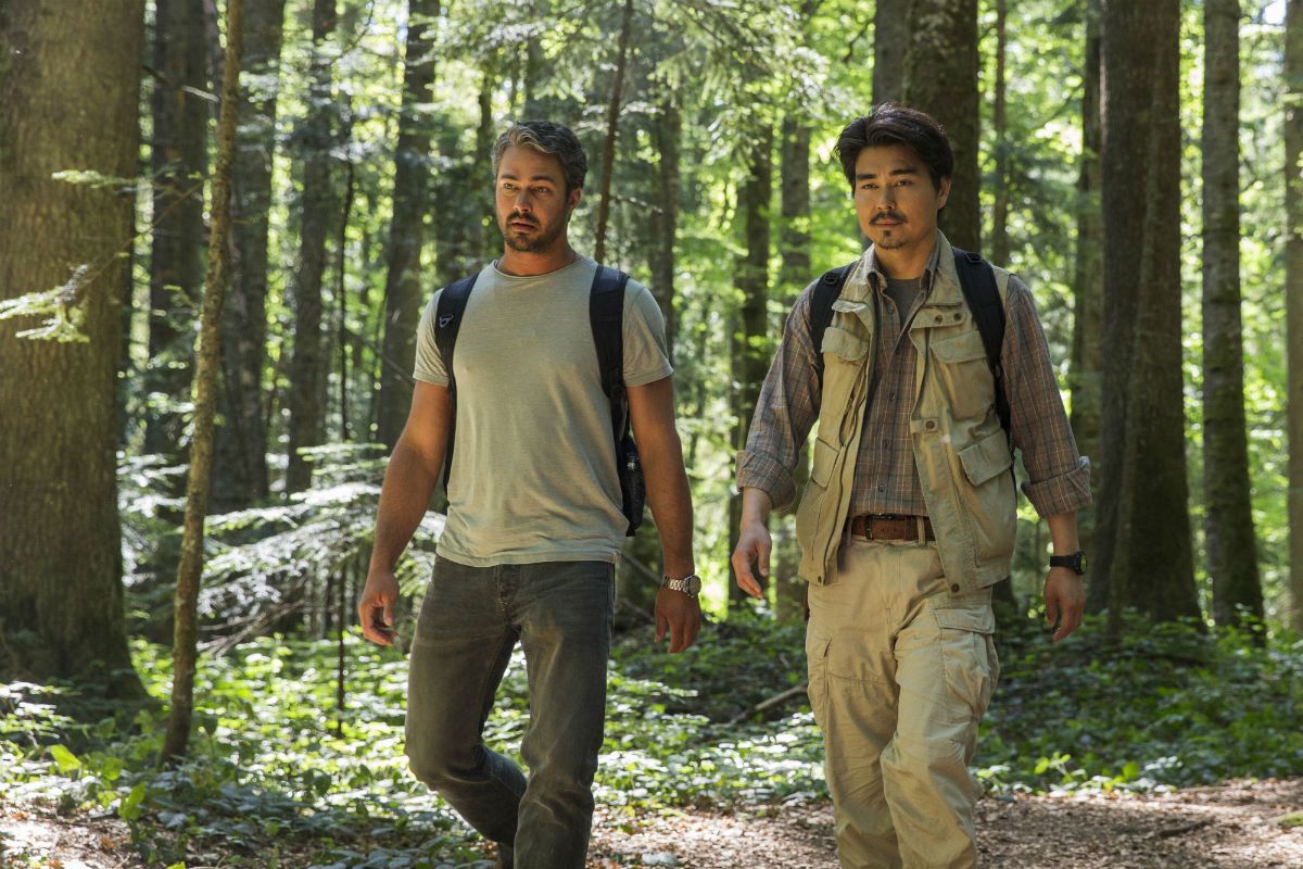 Foto de la película El bosque siniestro - Foto 13 por un total de 27 ...