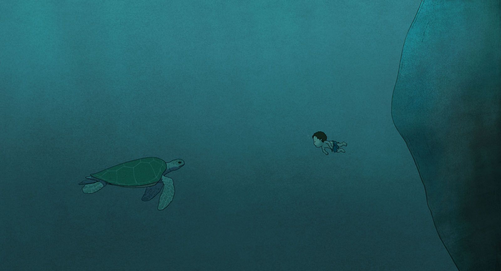 Foto de la película La tortuga roja - Foto 5 por un total de 19 ...