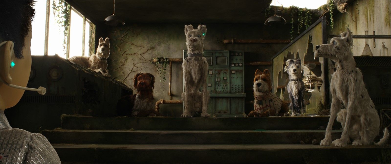 Foto de la película Isla de perros - Foto 31 por un total de 48 ...