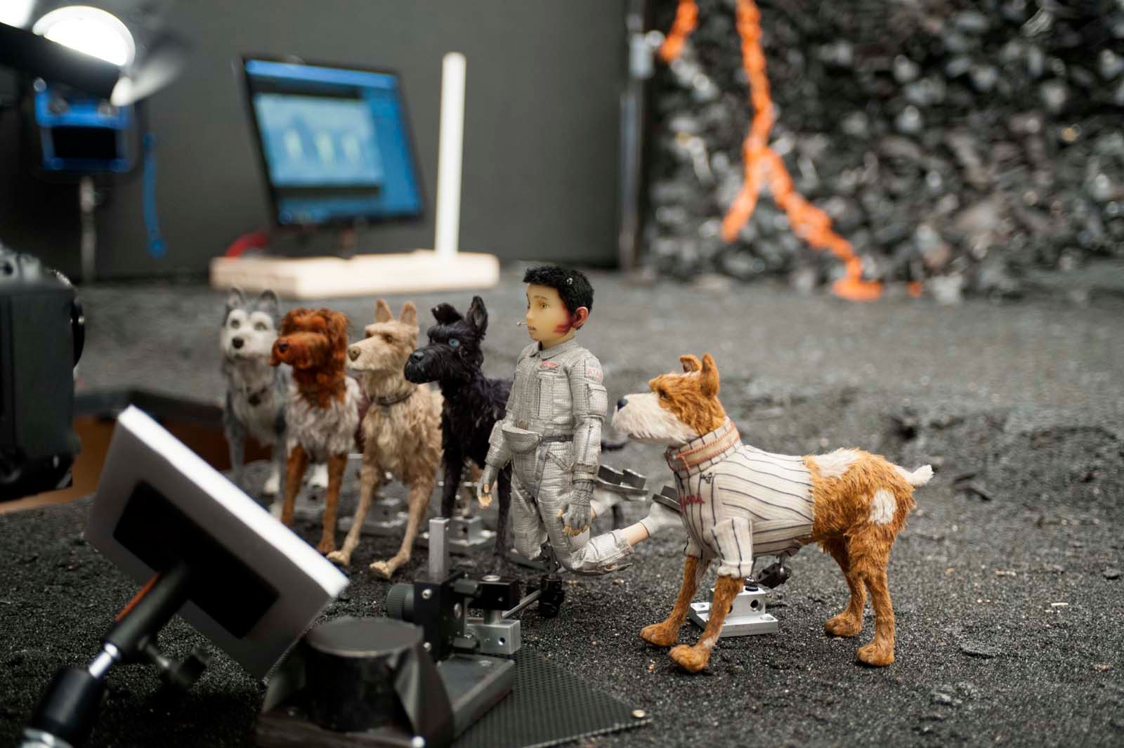 Foto de la película Isla de perros - Foto 20 por un total de 48 ...