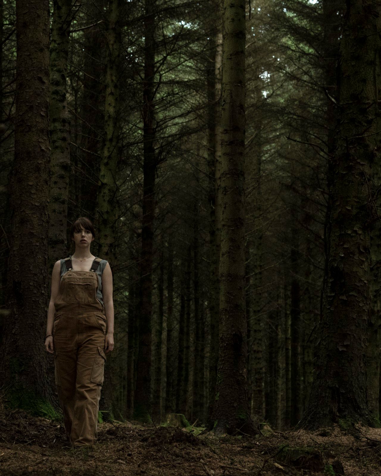 Foto de la película El bosque maldito - Foto 31 por un total de 36 - SensaCine.com.mx