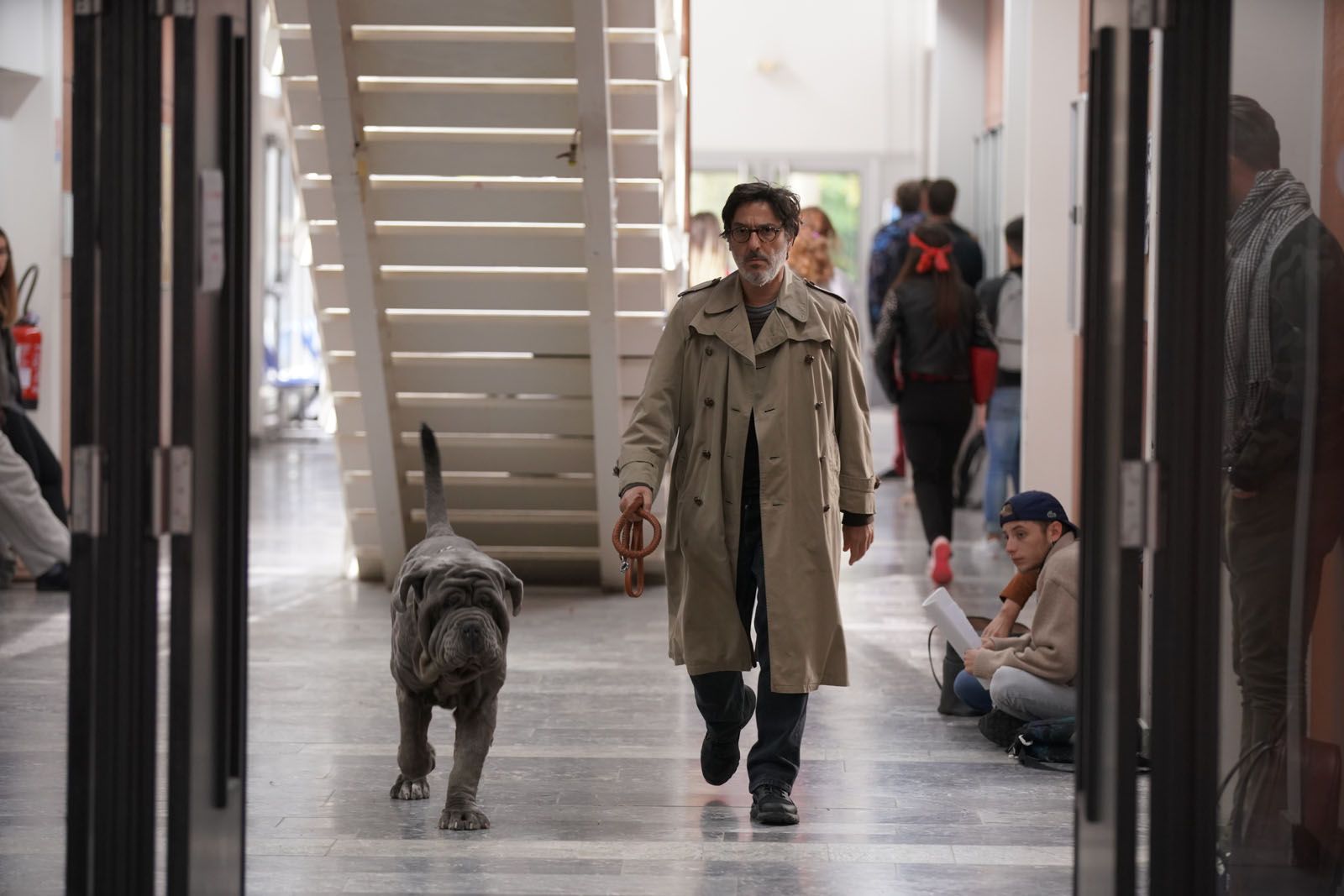 Foto de la película Mi perro Tonto - Foto 3 por un total de 12 ...