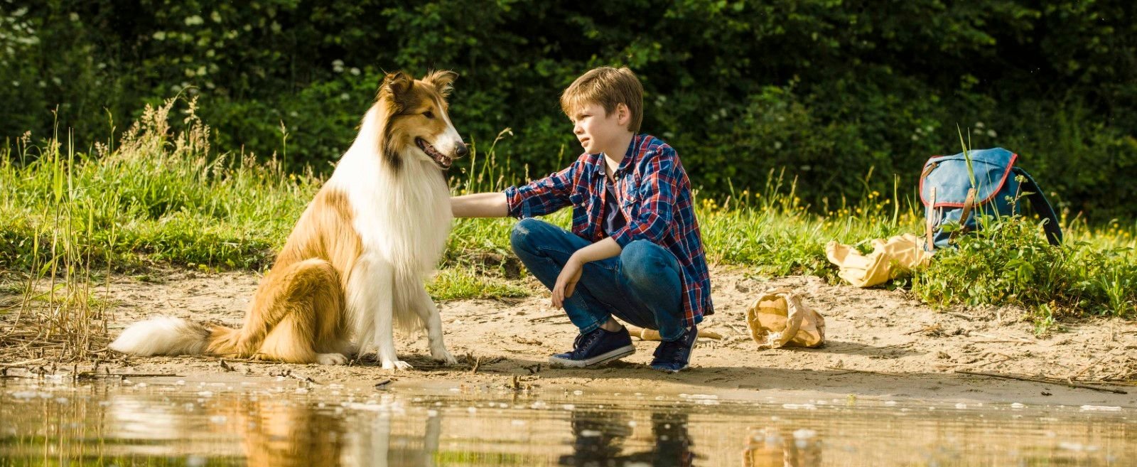 Foto de la película Lassie Vuelve a Casa - Foto 13 por un total de 14 - SensaCine.com.mx