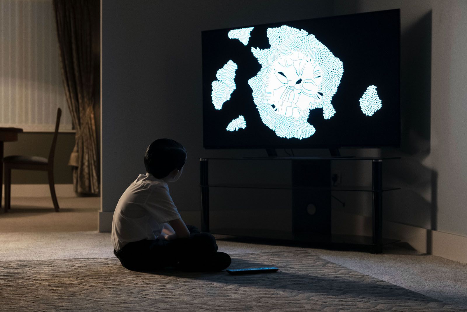 Foto de la película Vivarium - Foto 14 por un total de 20 - SensaCine.com.mx