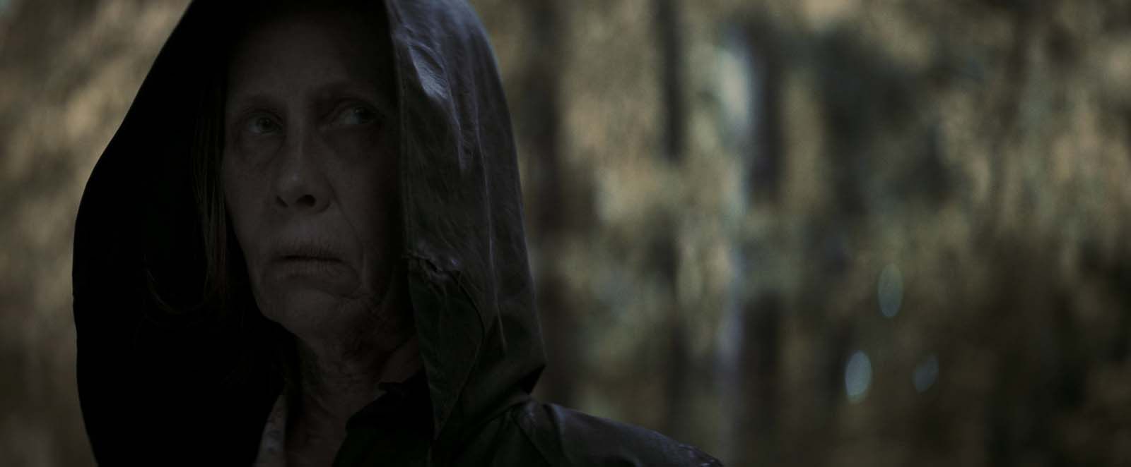 Foto de la película El bosque maldito - Foto 3 por un total de 36 - SensaCine.com.mx