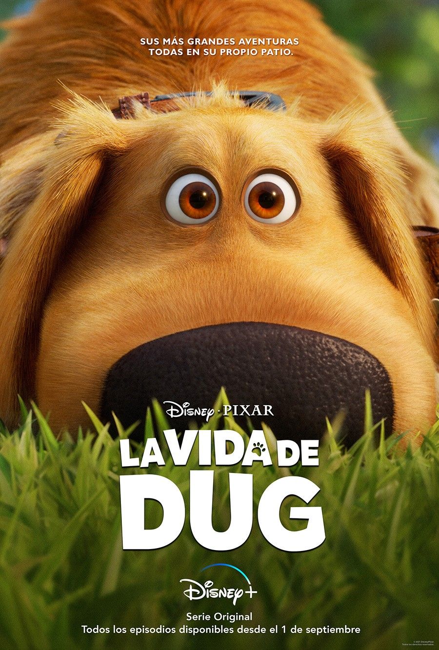 La vida de Dug - Serie 2021 - SensaCine.com.mx