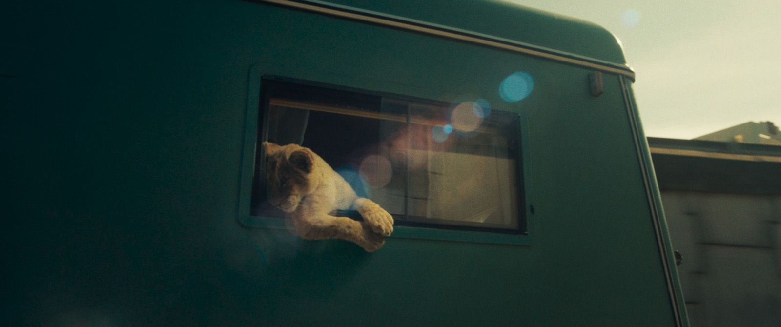 Foto de la película King: Regreso A Casa - Foto 7 por un total de 20 ...