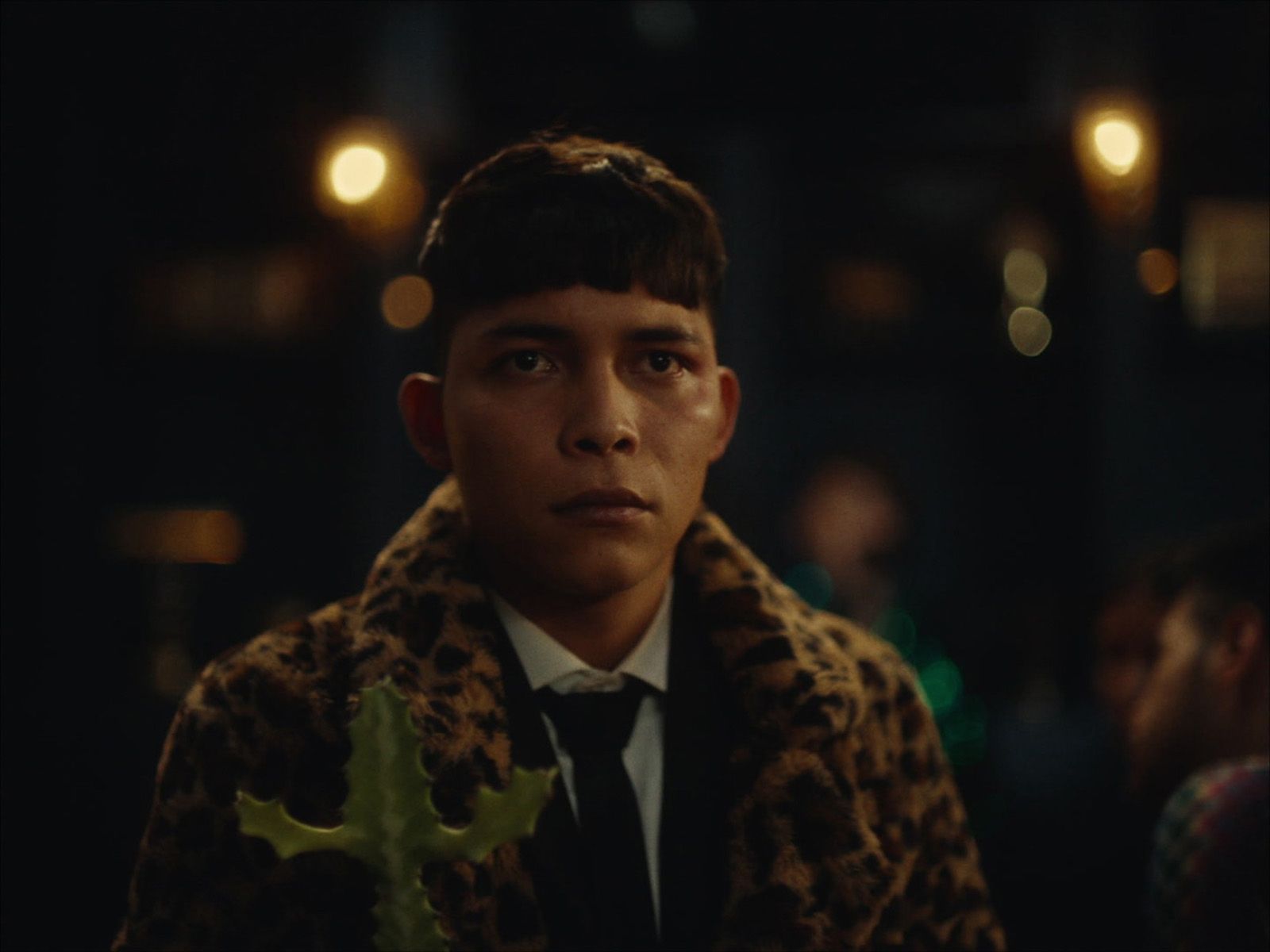 Foto de la película Adolfo - Foto 3 por un total de 4 - SensaCine.com.mx
