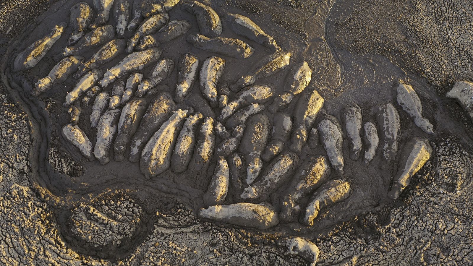 Big Beasts : Big Beasts : Foto - Foto 6 sobre 11 - SensaCine.com.mx