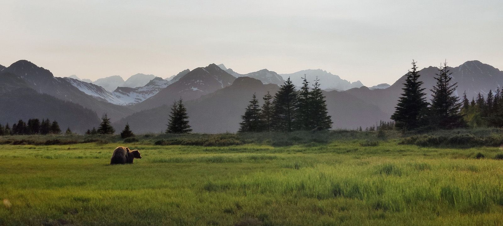 Big Beasts : Big Beasts : Foto - Foto 5 sobre 11 - SensaCine.com.mx