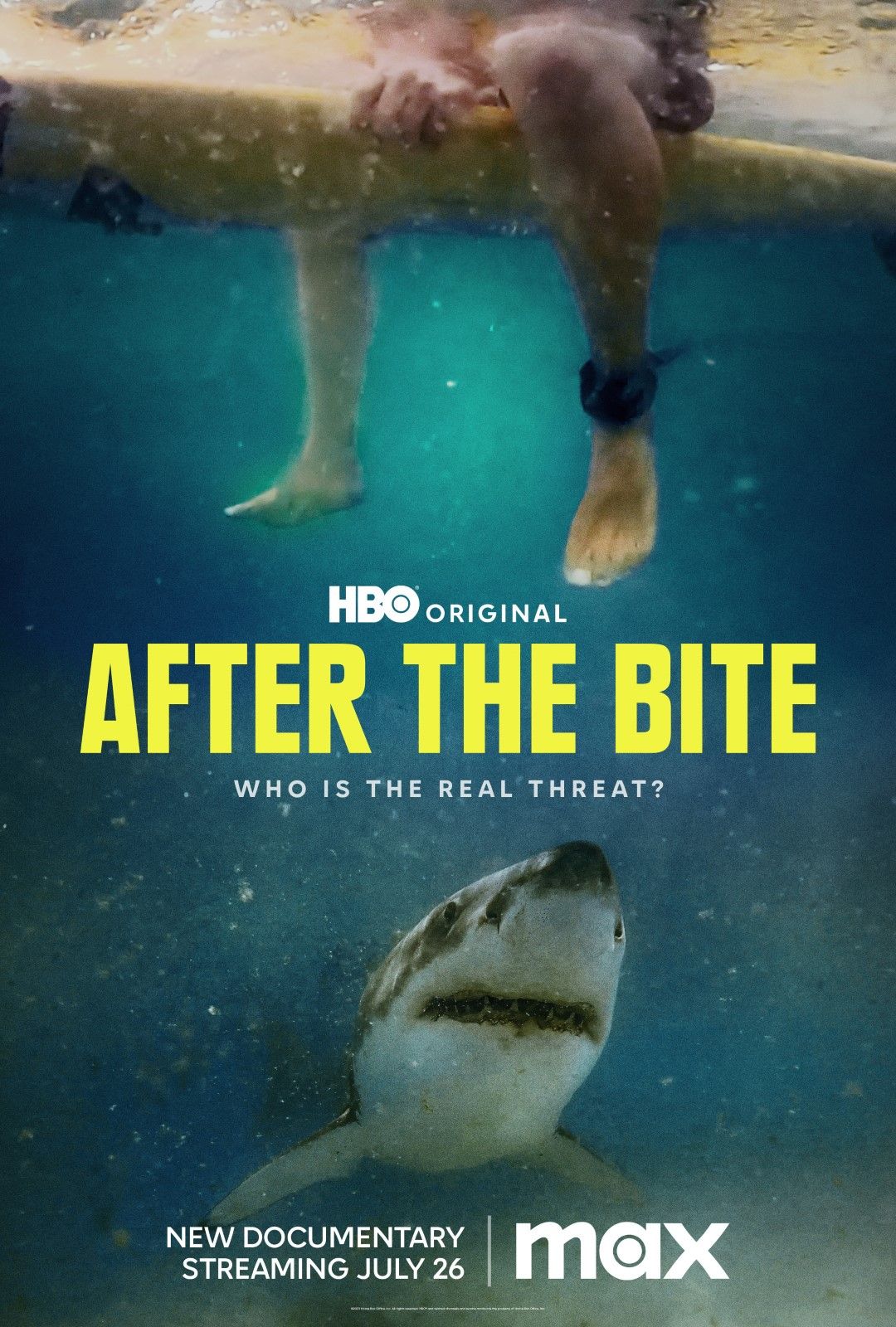 Cabo Cod: La amenaza de los mares - Documental 2023 - SensaCine.com.mx