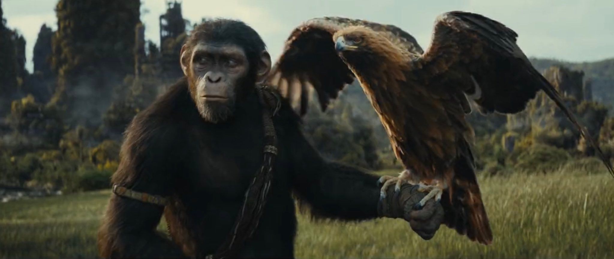 Foto de la película El Planeta de los Simios: Nuevo Reino - Foto 21 por ...