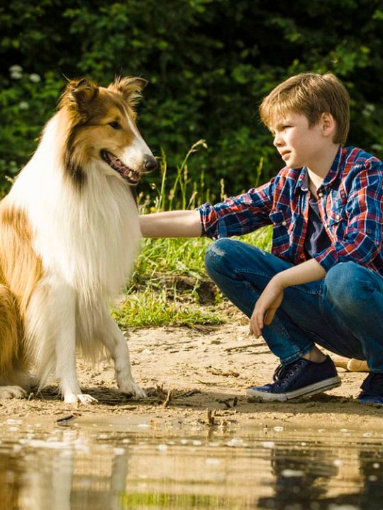 Cartel de la película Lassie Vuelve a Casa - Foto 10 por un total de 14 - SensaCine.com.mx
