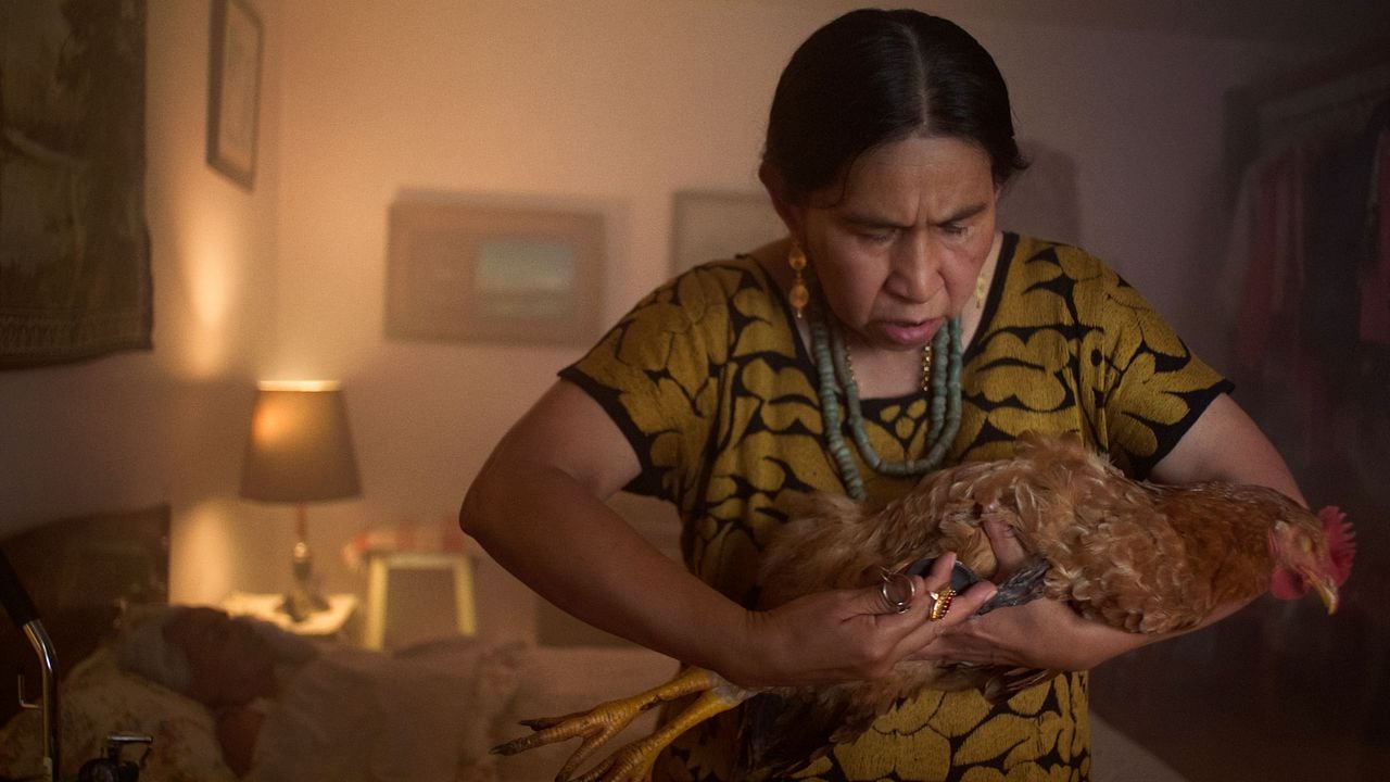 Toda La Sangre : Toda La Sangre : Foto - Foto 3 sobre 8 - SensaCine.com.mx