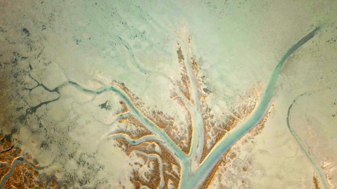 Foto de la película Lagunaria - Foto 1 por un total de 6 - SensaCine.com.mx