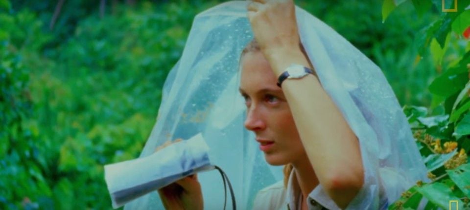 Trailer de la película Jane - Jane trailer subtitulado - SensaCine.com.mx