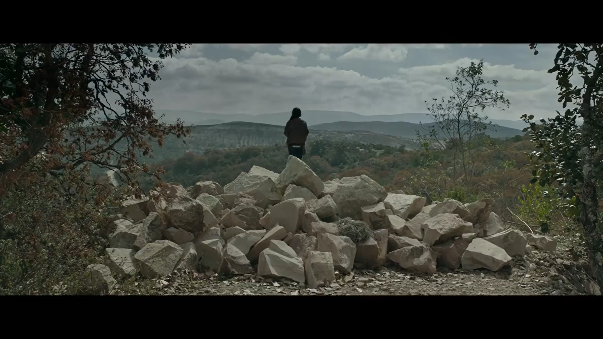 Trailer de la película Traición - Tráiler 'Traición' - SensaCine.com.mx