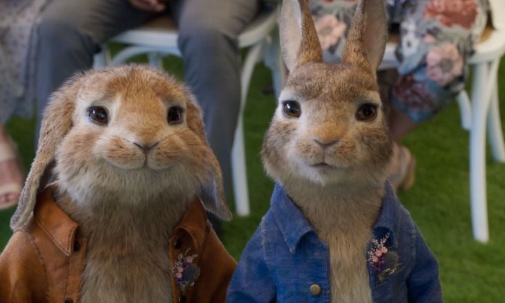 Trailer de la película Peter Rabbit 2: Conejo en fuga - 'Peter Rabbit 2 ...