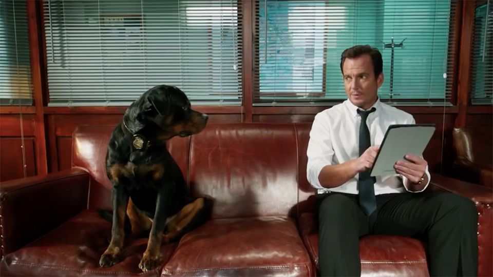 Trailer de la película Show Dogs - 'Show Dogs'- Tráiler oficial ...