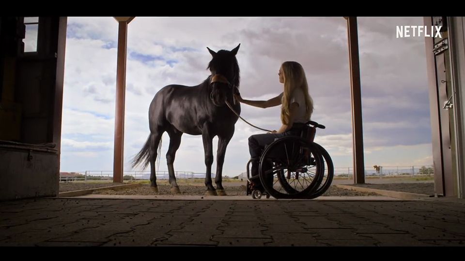 Trailer de la película La vida es un rodeo - 'La vida es un rodeo ...