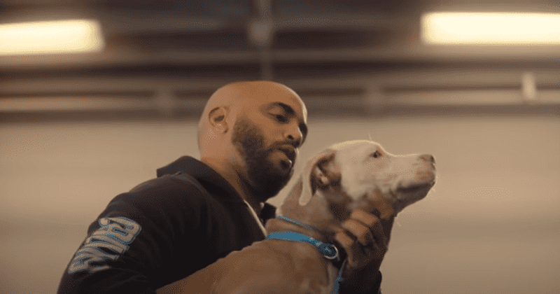 'Canine Intervention' - Tráiler Oficial - Netflix - Vídeo ...