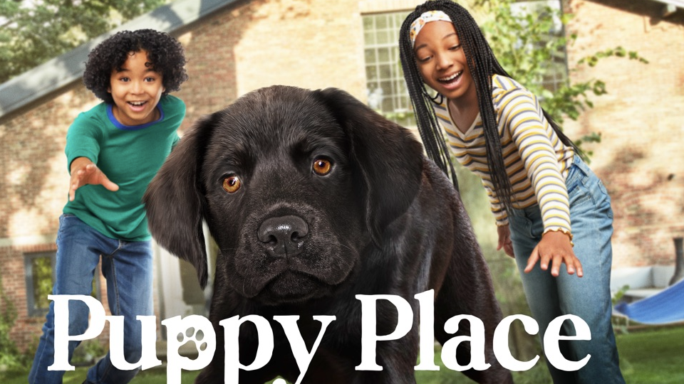 'Puppy place' - Tráiler oficial - Vídeo Puppy place - SensaCine.com.mx