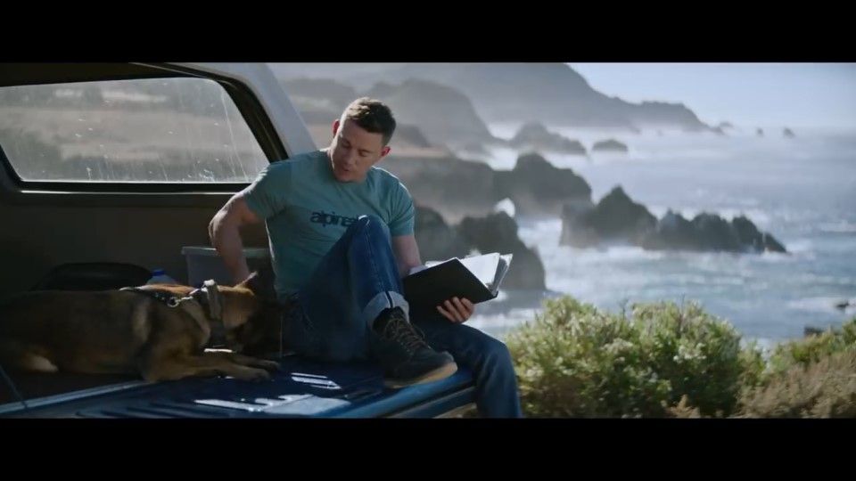 Trailer de la película Dog: Un viaje salvaje - 'Dog' - Tráiler oficial ...