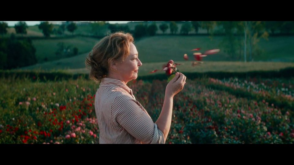 Trailer de la película The Rose Maker - 'The Rose Maker'- Tráiler ...
