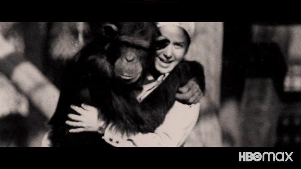 Trailer de la película Lucy, el chimpancé humano - 'Lucy, el chimpancé ...